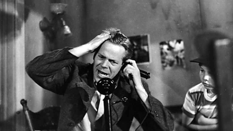 Chicago Calling - Film | Park Circus