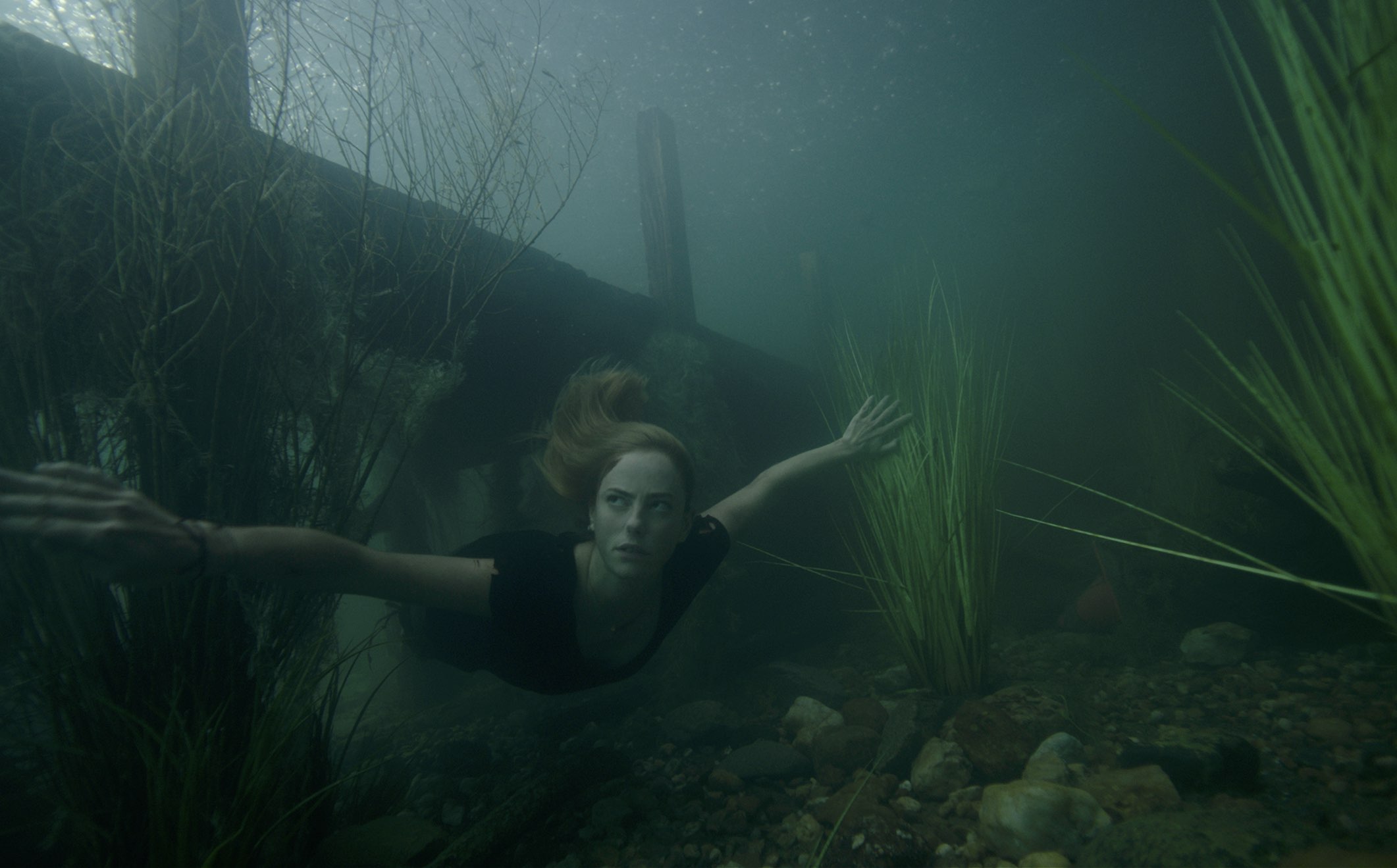 Crawl - Film | Park Circus