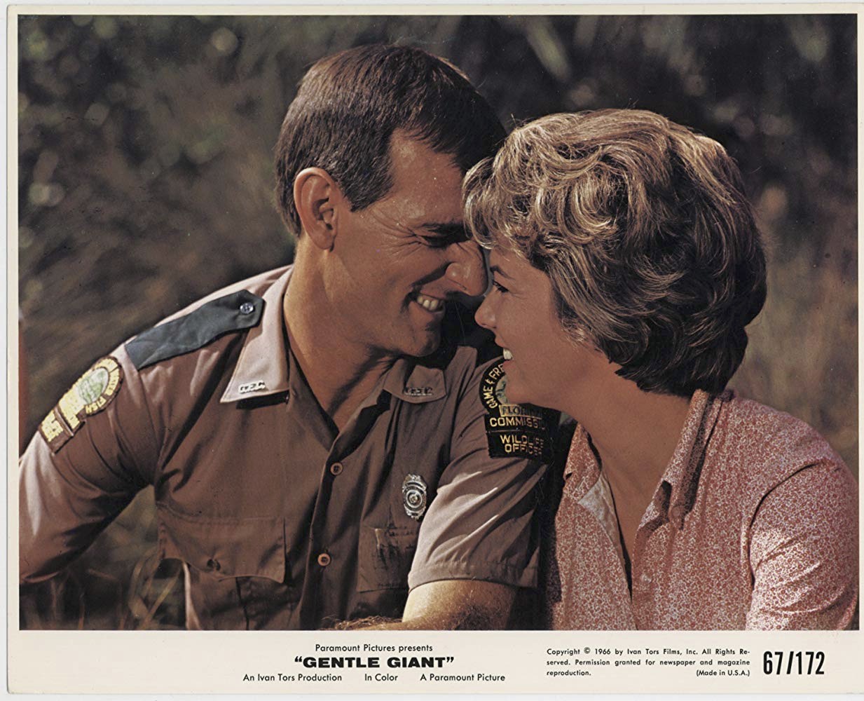 Gentle Giant - Film | Park Circus