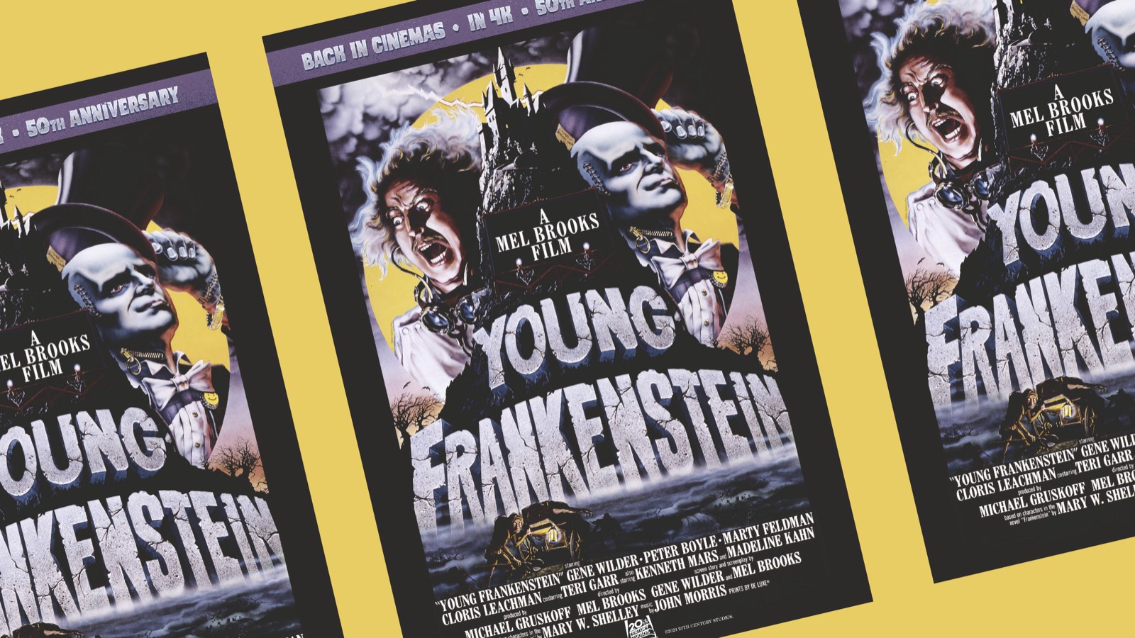 Young Frankenstein Wallpaper Young Frankenstein Wallpaper (71+ Images)