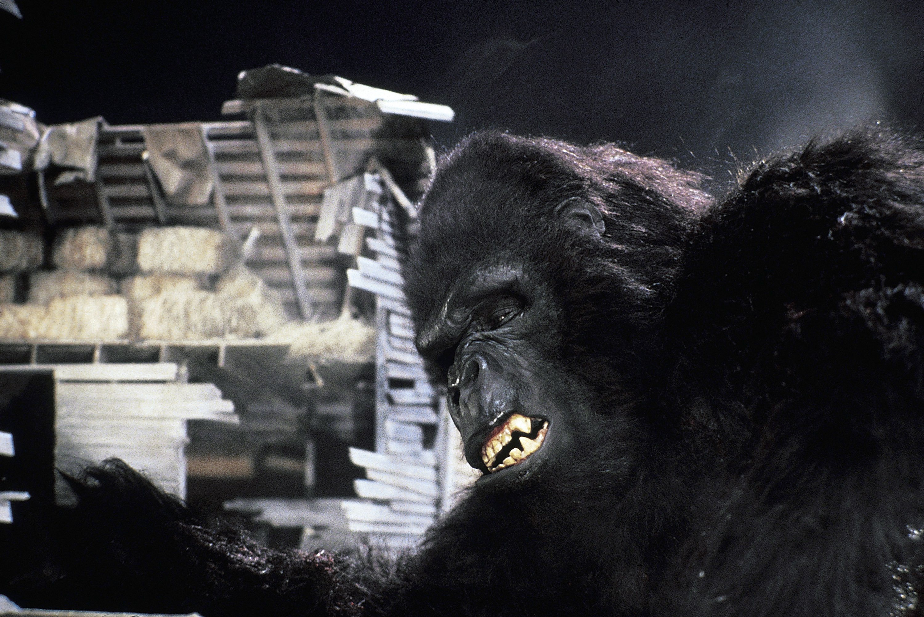 King Kong Lives - Film | Park Circus