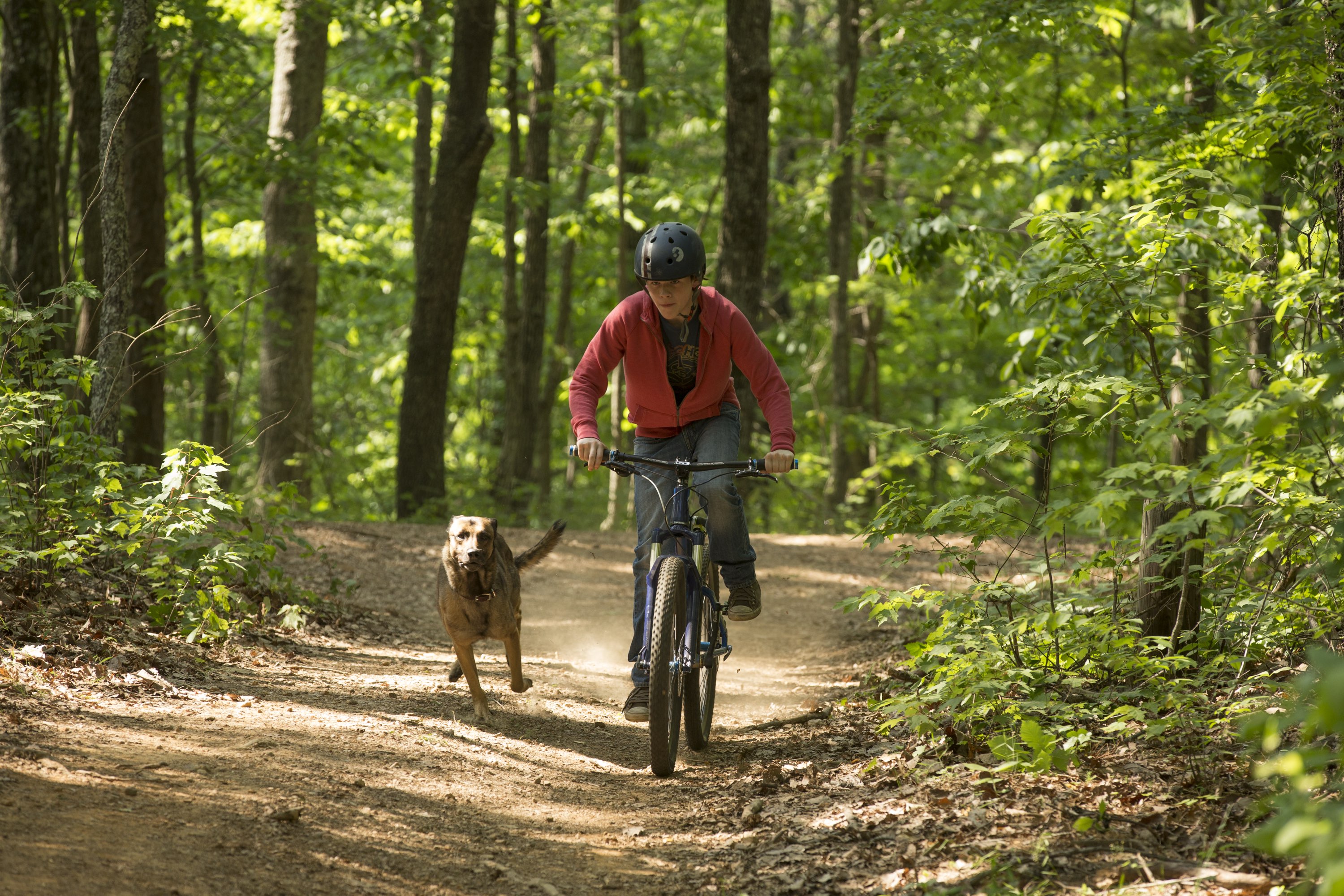 Max - Film | Park Circus