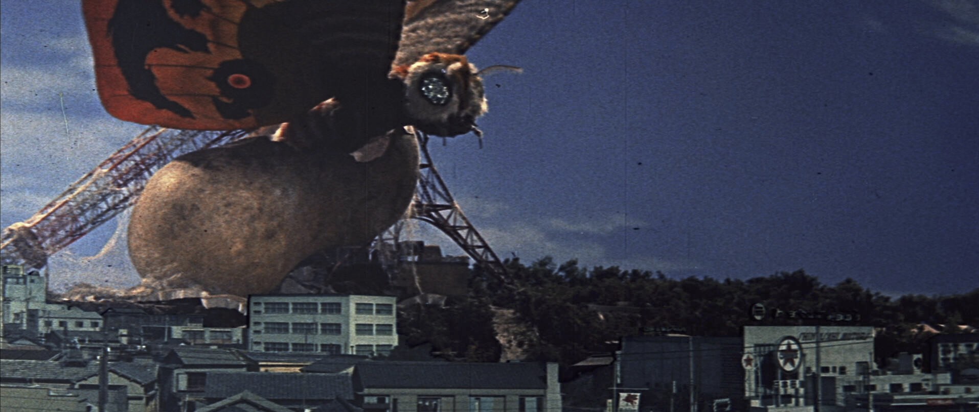 Mothra - Film | Park Circus