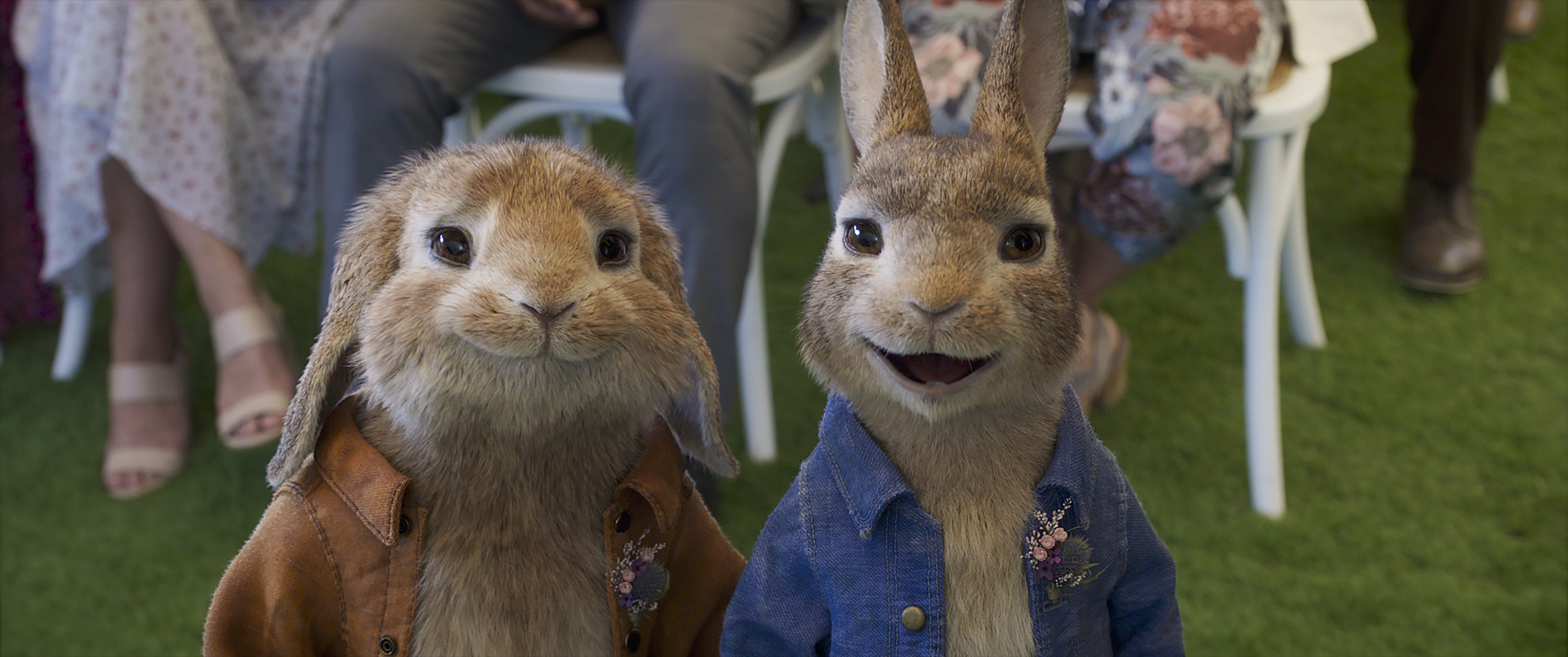 Peter Rabbit 2: The Runaway - Film | Park Circus