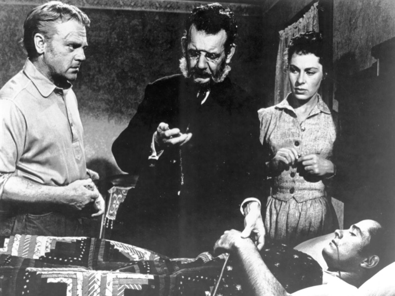 Run For Cover - Film | Park Circus