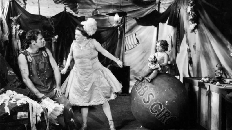 The Third Degree - Film | Park Circus