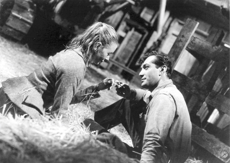 The Wayward Bus - Film | Park Circus