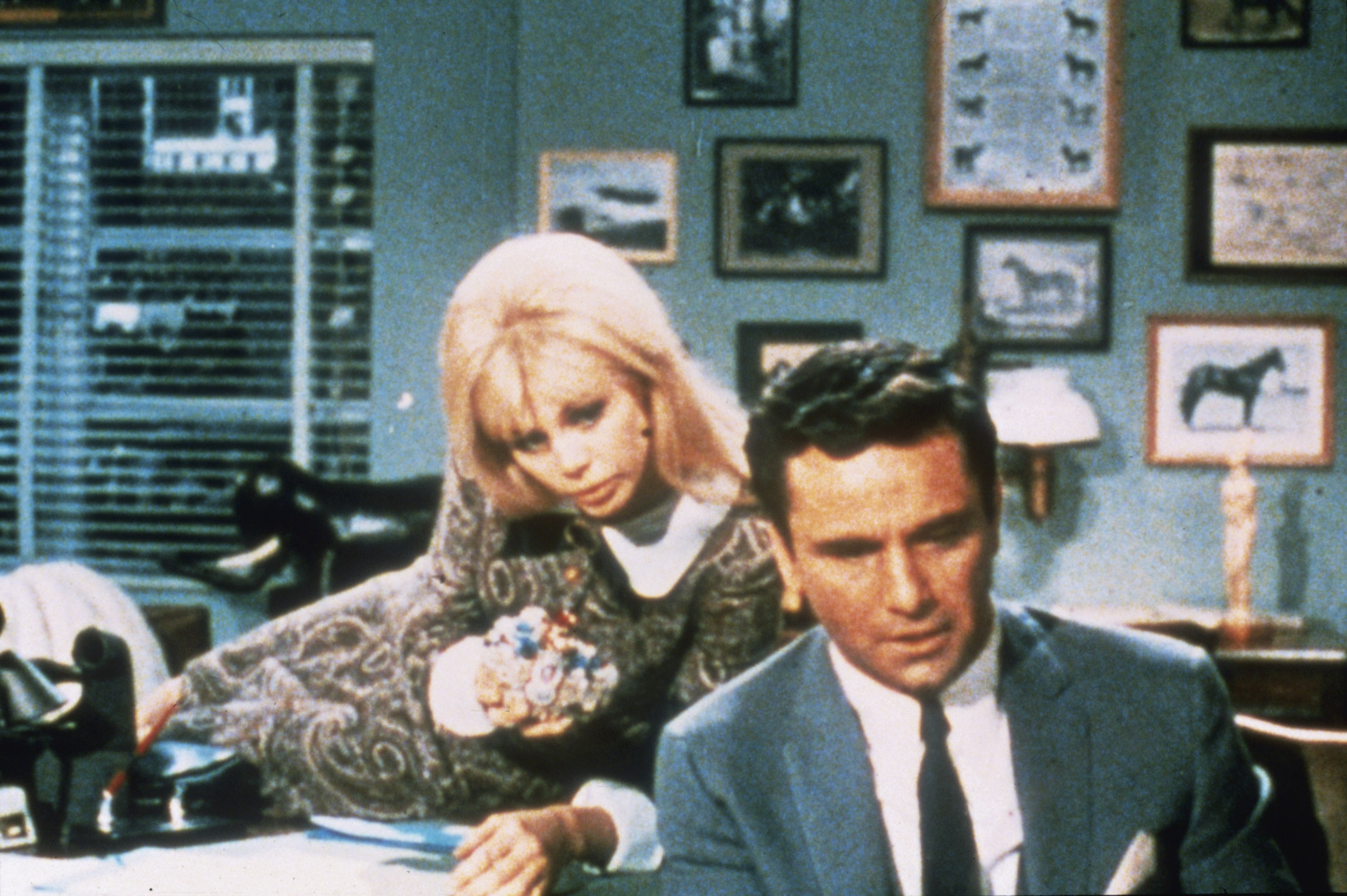 Too Many Thieves - Film | Park Circus